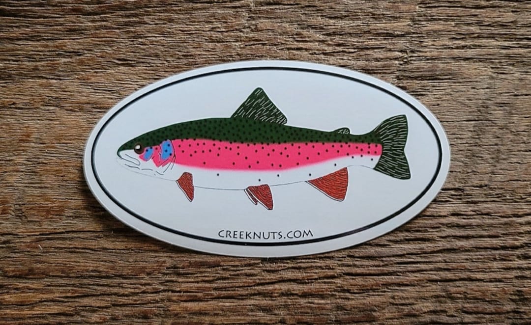 Rainbow Trout Sticker Decal - Etsy