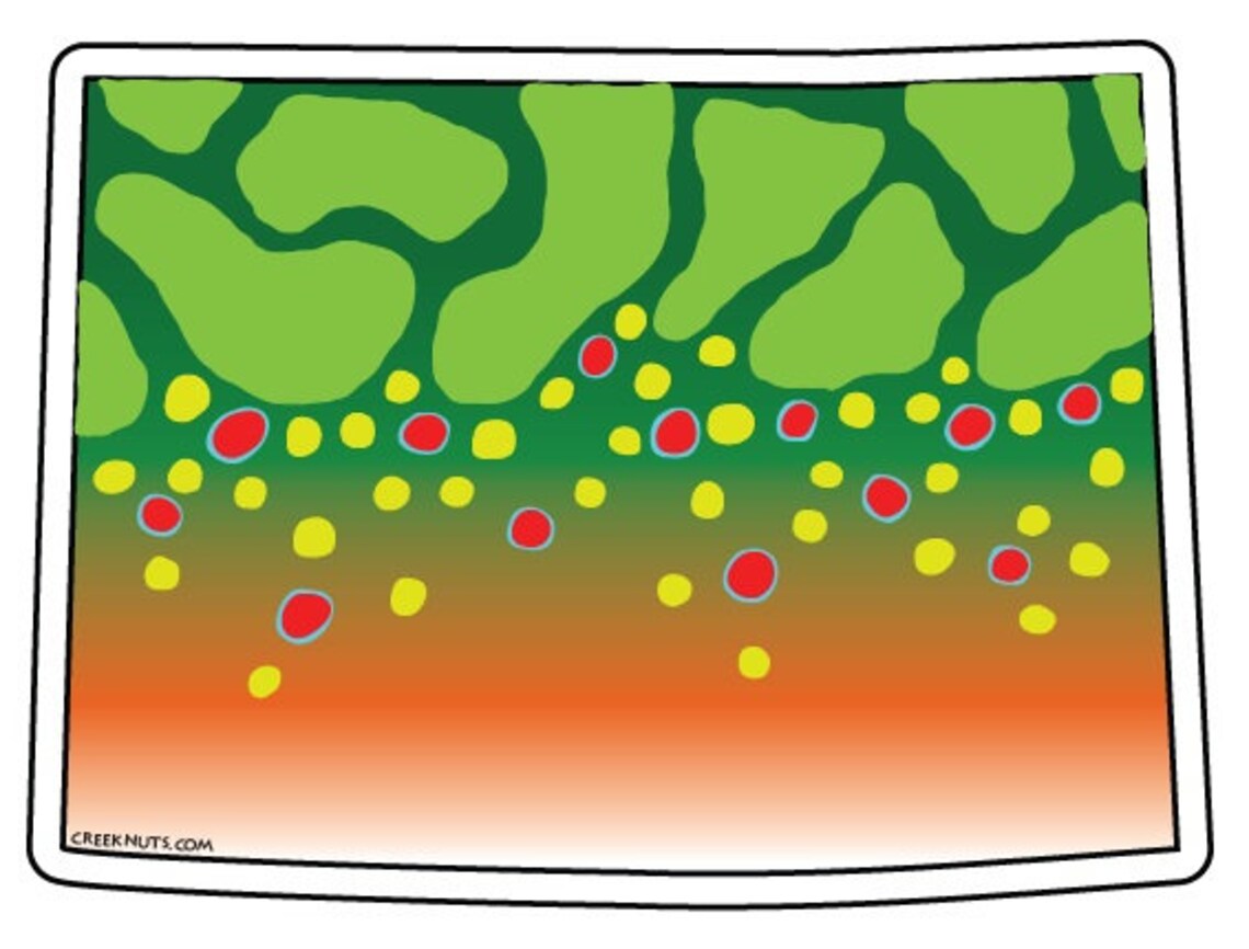 Colorado Brook Trout Sticker Decal - Etsy