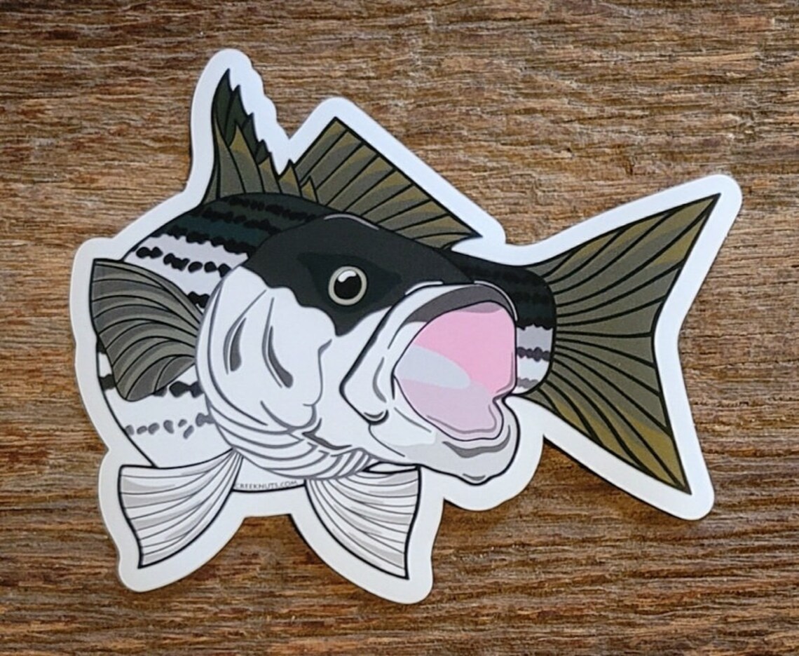 Striper Striped Bass Sticker Decal - Etsy