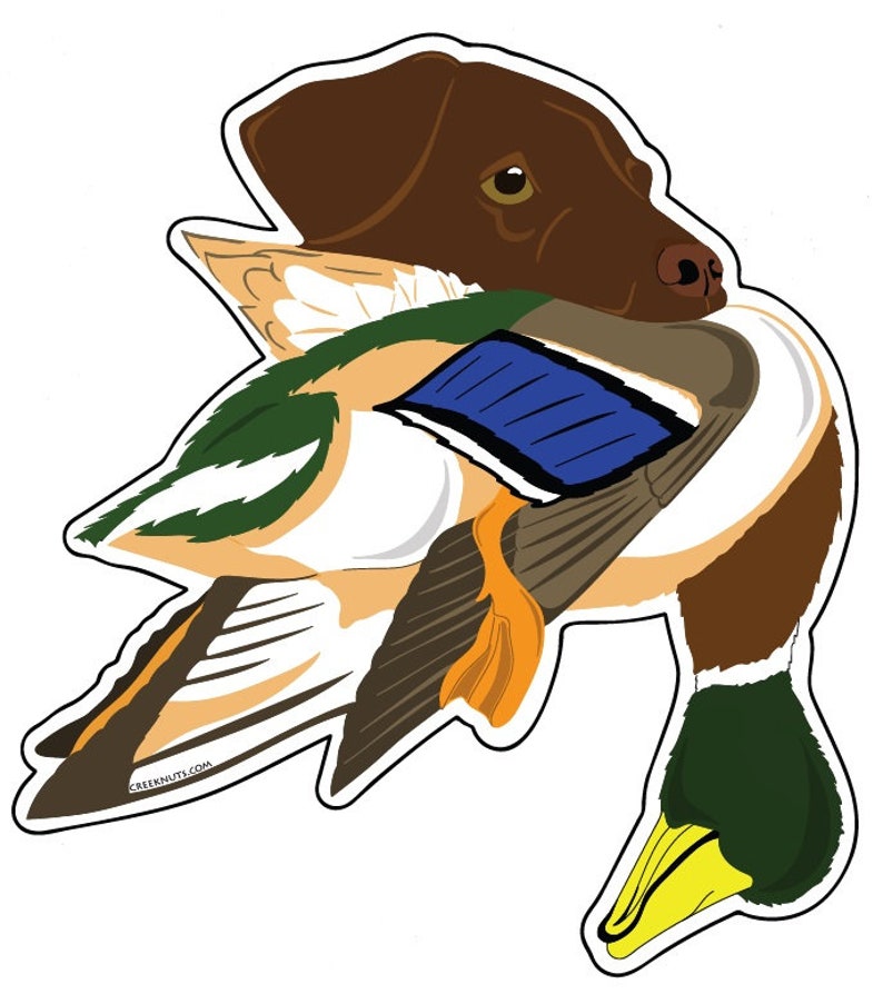 Chocolate Labrador Retriever With Mallard Duck Sticker Decal - Etsy