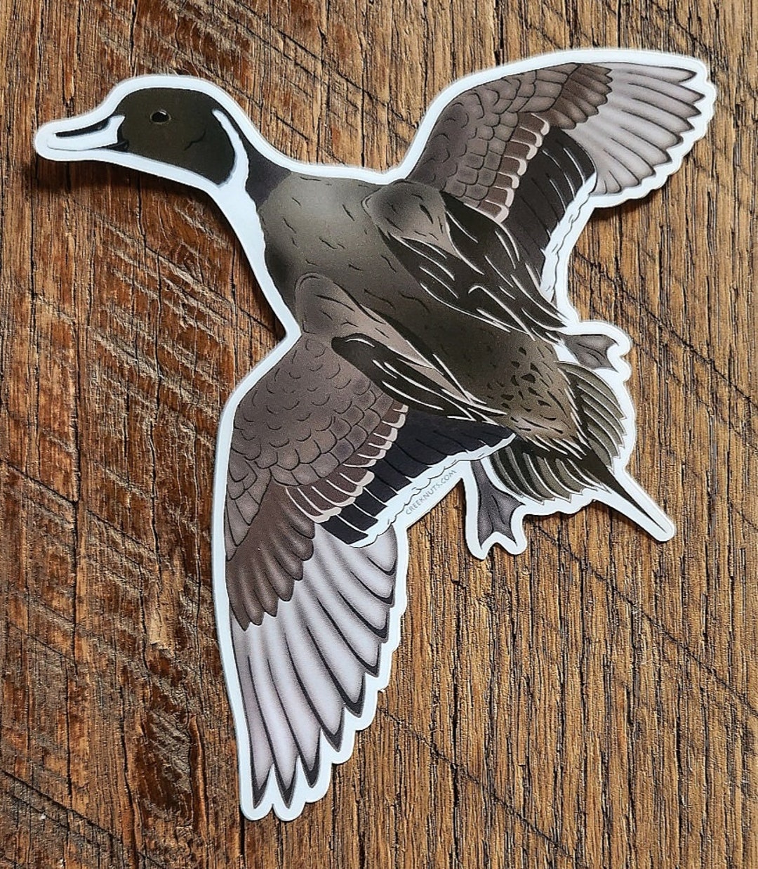Flying Northern Pintail Duck Sticker Decal - Etsy