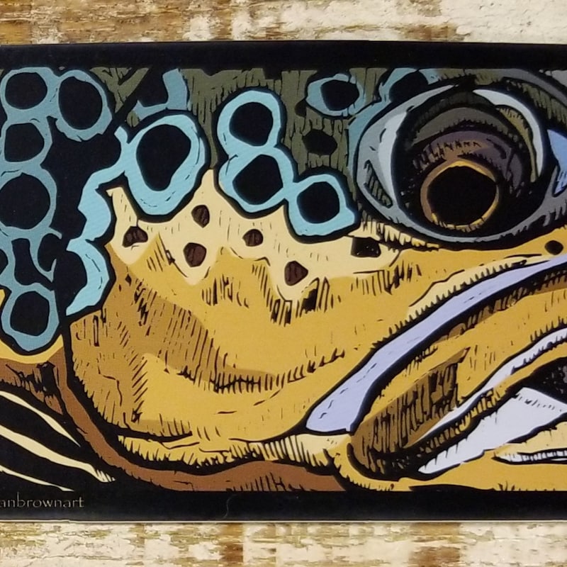 Fly Fishing in Arkansas - Etsy