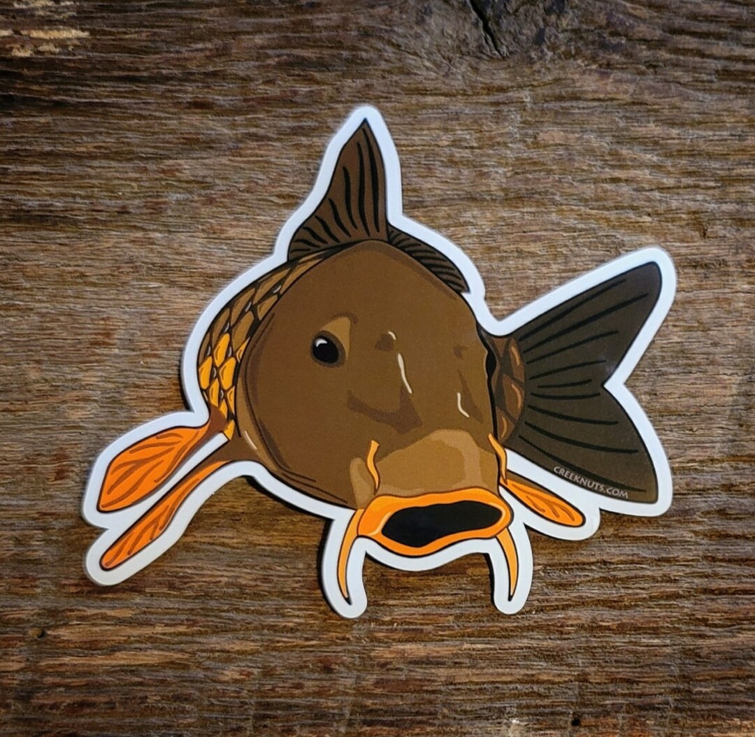 Carp Sticker Decal - Etsy