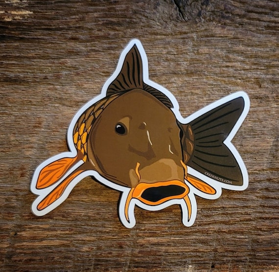 Carp Sticker Decal - Etsy