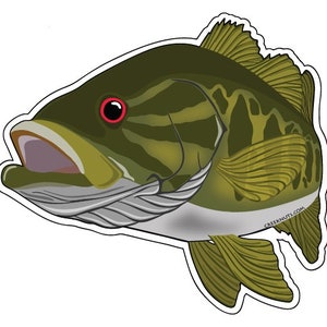 Smallmouth Bass Sticker Decal - Etsy