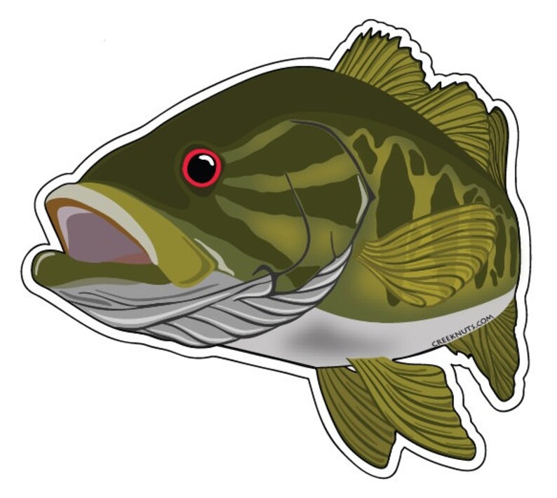 Smallmouth Bass Sticker Decal - Etsy