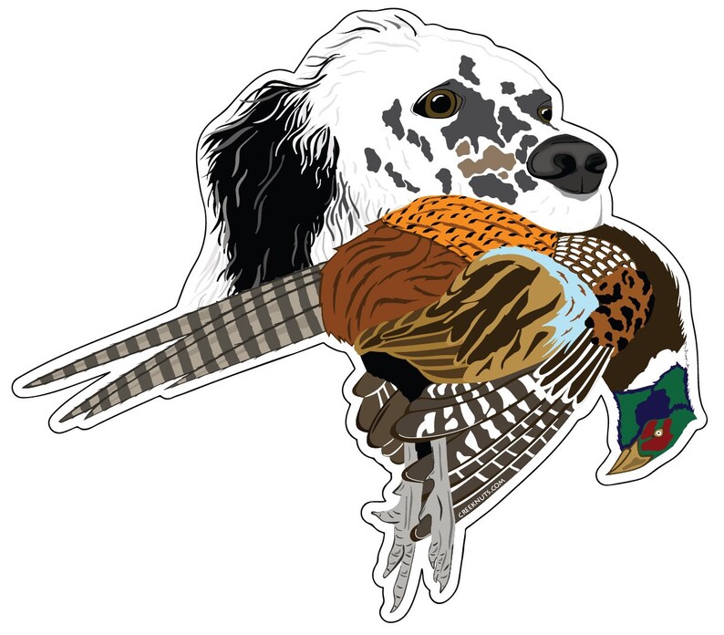 English Setter With Pheasant Sticker Decal | Etsy