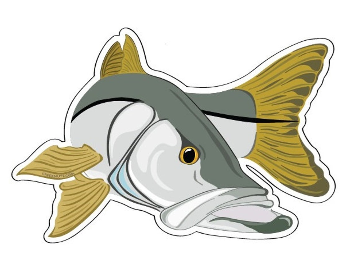 Snook Sticker Decal - Etsy