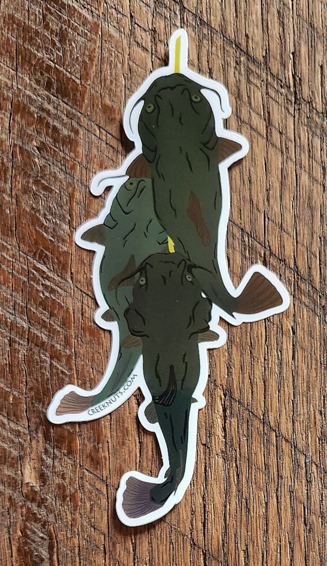 Catfish Stringer Sticker Decal - Etsy