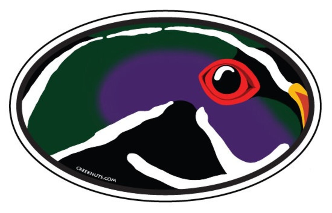 Wood Duck Sticker Decal - Etsy