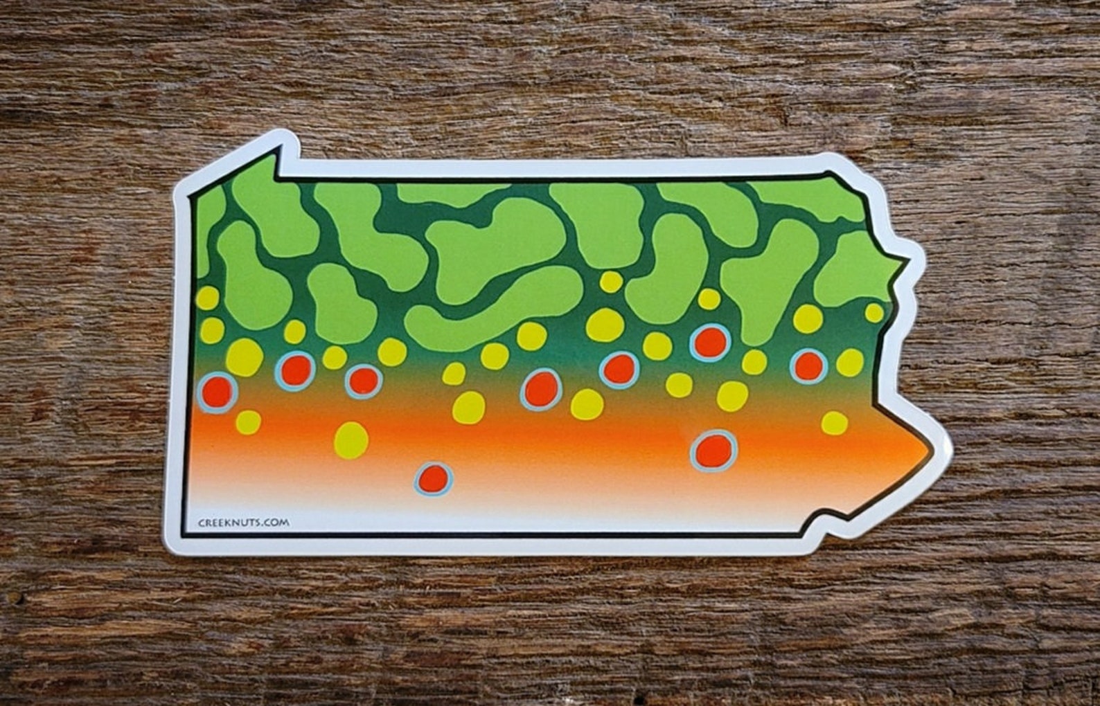 Pennsylvania Brook Trout Sticker Decal - Etsy