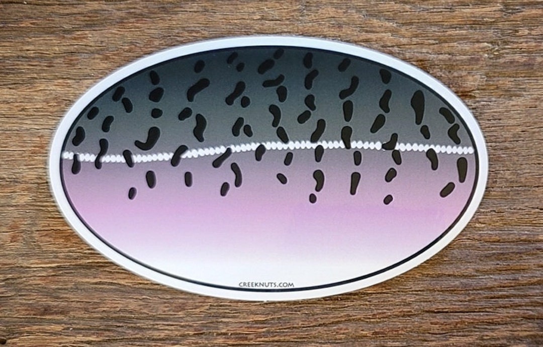 Coho Salmon Skin Sticker Decal - Etsy