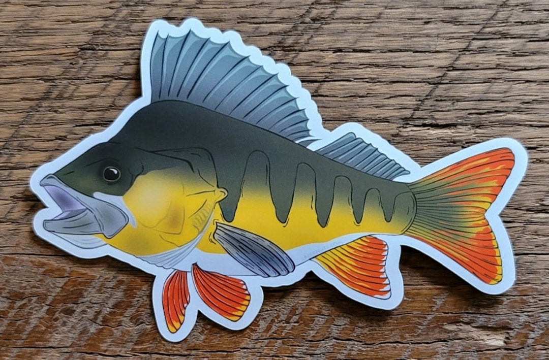 Perch Sticker Decal - See Listing for Discounts! - Etsy