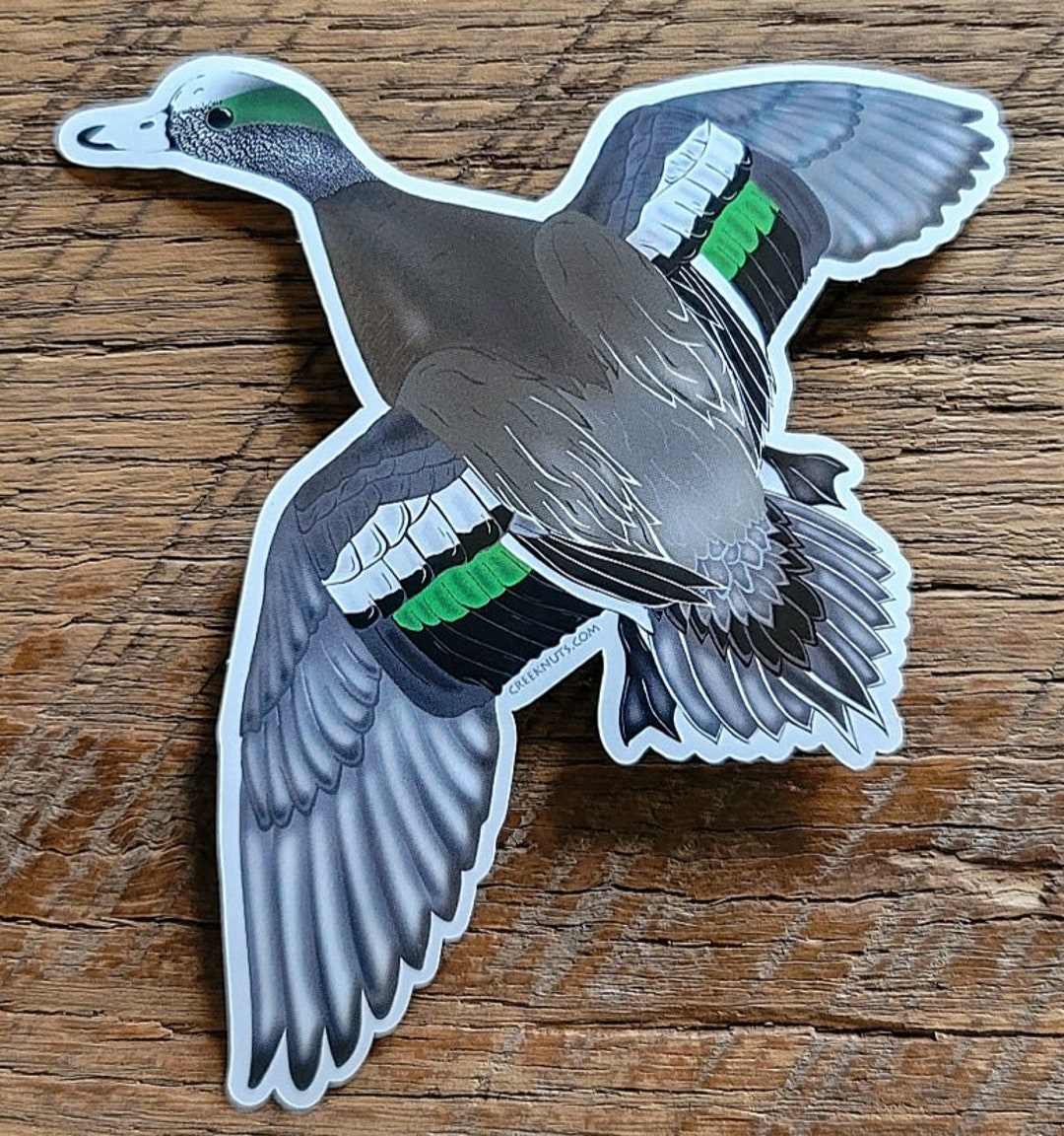 Flying Widgeon Duck Sticker Decal - Etsy