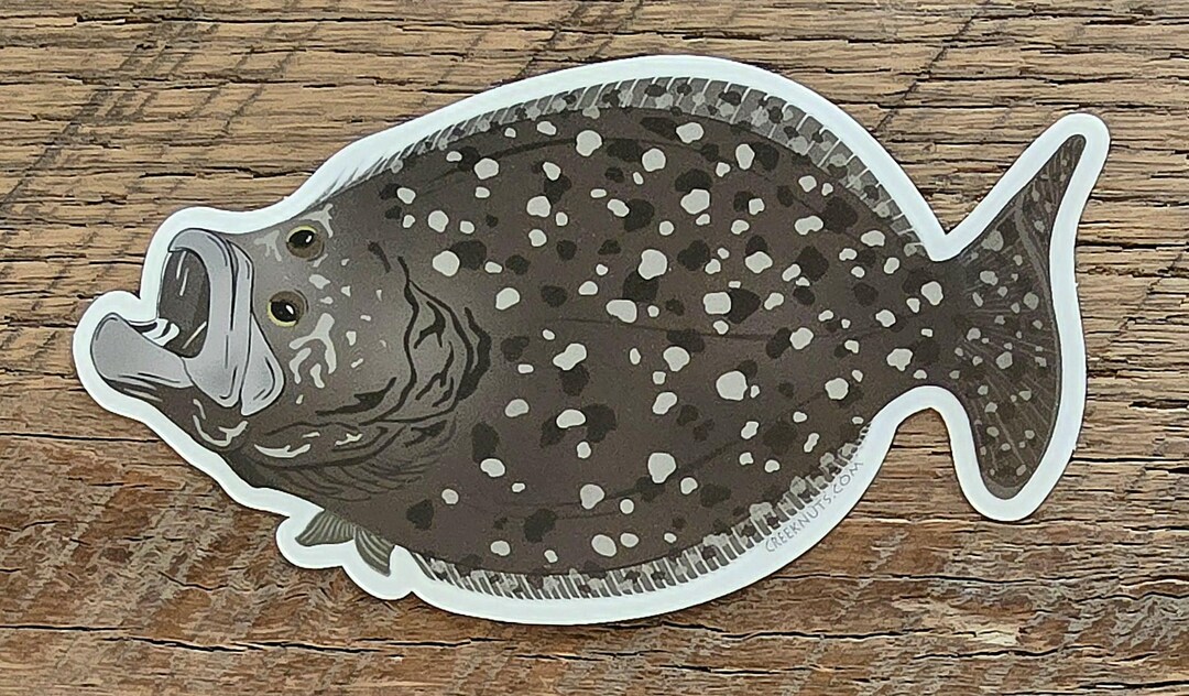 Flounder Sticker Decal See Listing for Discounts - Etsy