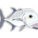 Giant Trevally Sticker Decal - Etsy