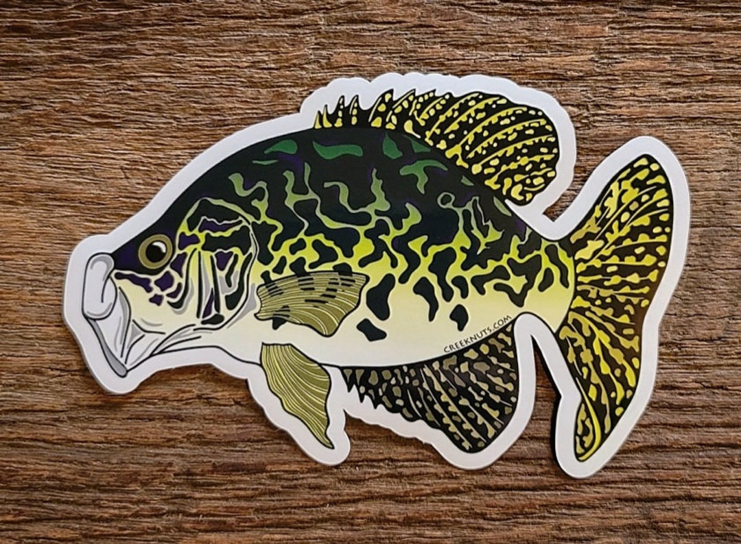 Crappie Sticker Decal - Etsy