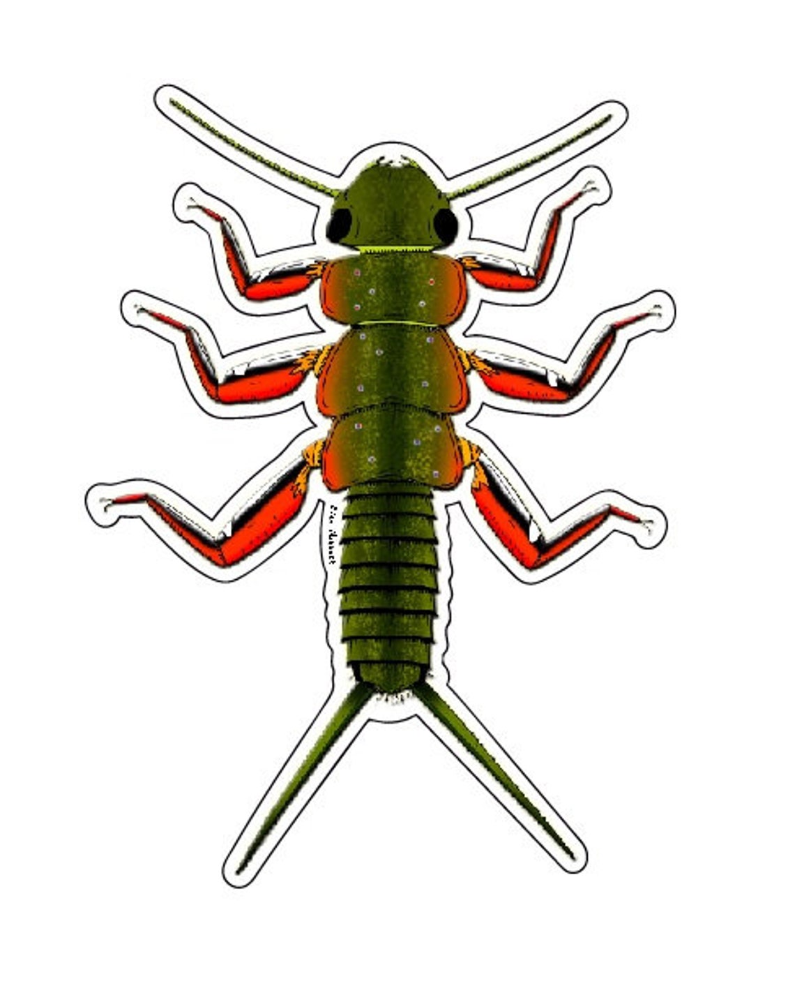 Brook Trout Stonefly Sticker Decal Designed by Evan Makuvek - Etsy