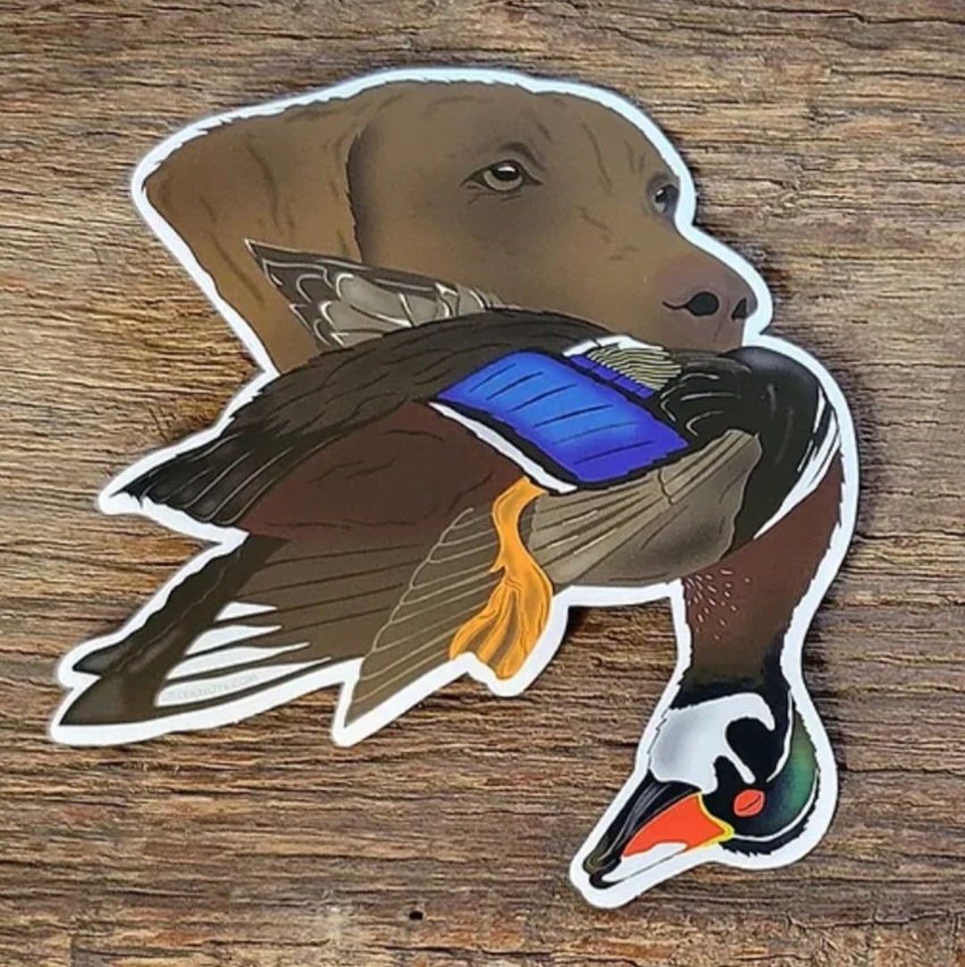 Chesapeake Bay Retriever Stickers Decals With Waterfowl - Etsy