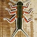 Brook Trout Stonefly Sticker Decal Designed by Evan Makuvek - Etsy