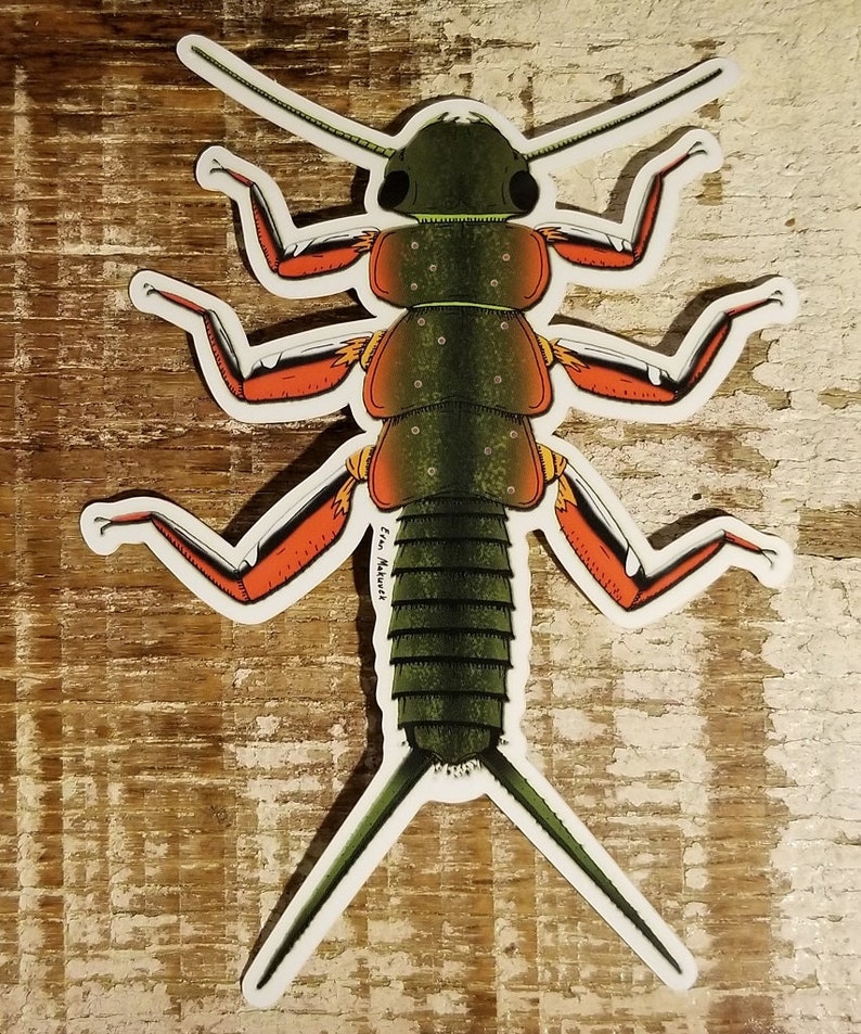 Brook Trout Stonefly Sticker Decal Designed by Evan Makuvek - Etsy