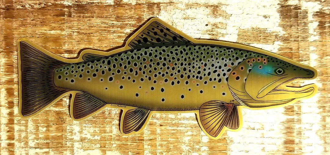 Brown Trout Brushed Alloy Sticker Decal Designed by Evan Makuvek - Etsy