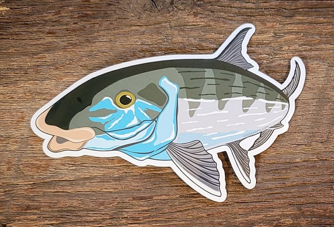 Bonefish Sticker Decal - Etsy