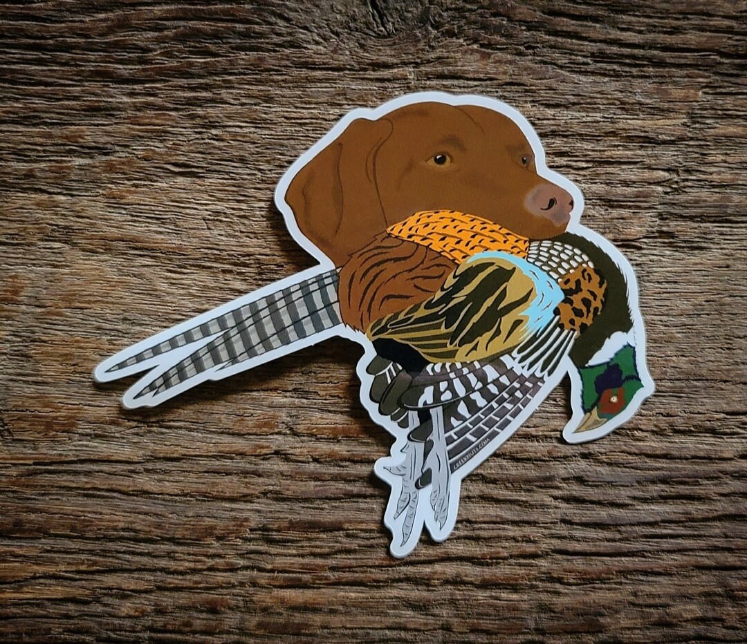 Vizsla Stickers With Grouse, Pheasants - Etsy