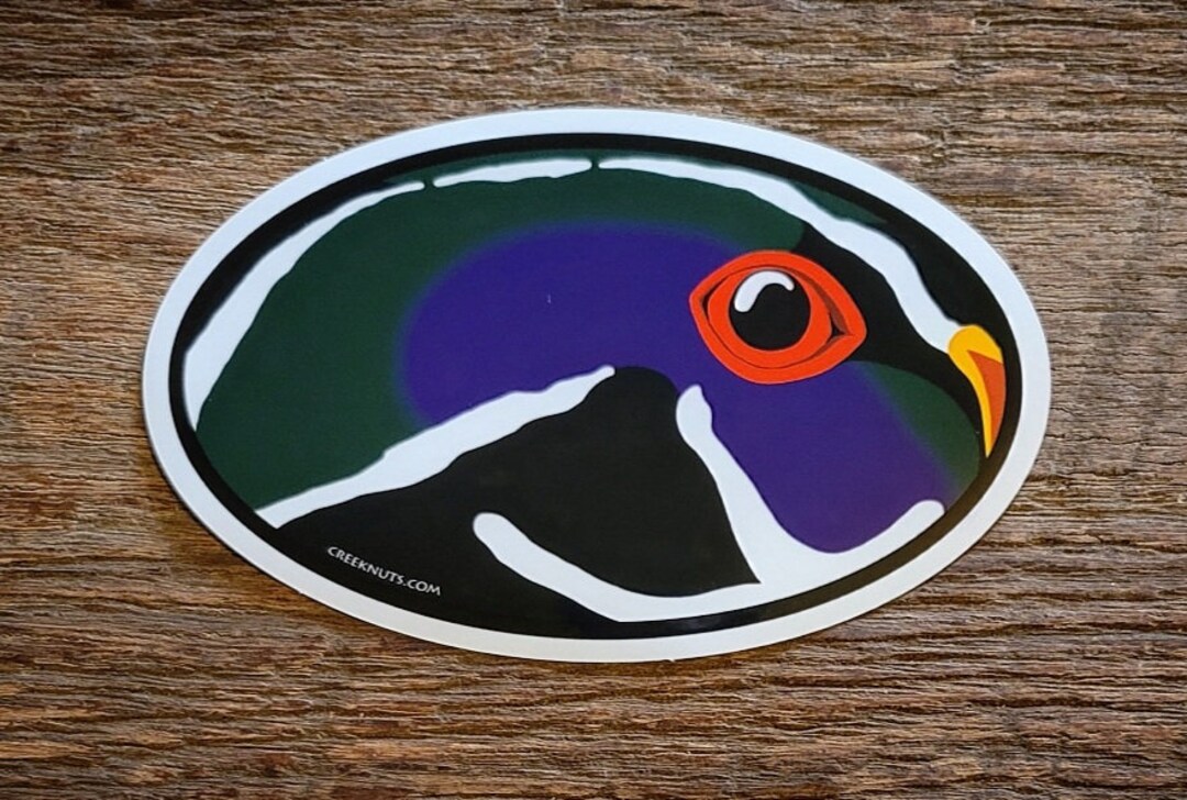 Wood Duck Sticker Decal - Etsy