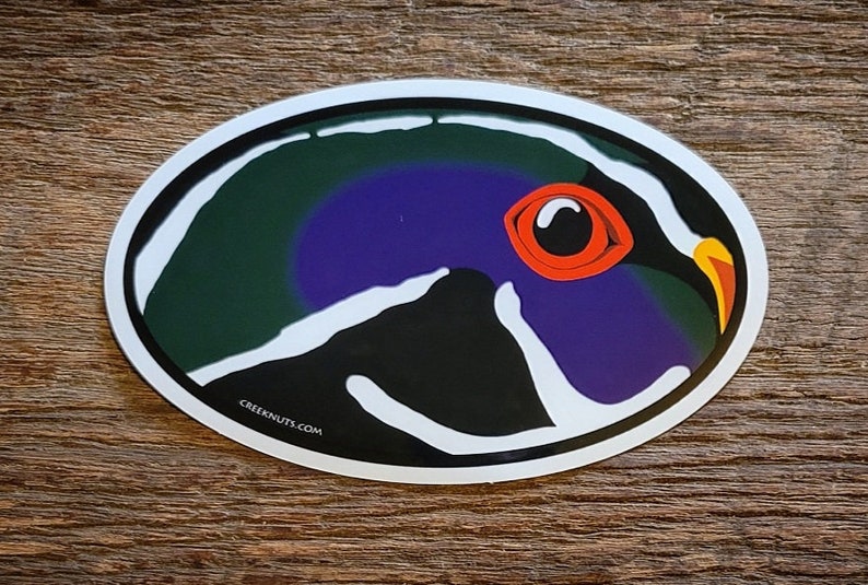 Wood Duck Sticker Decal - Etsy