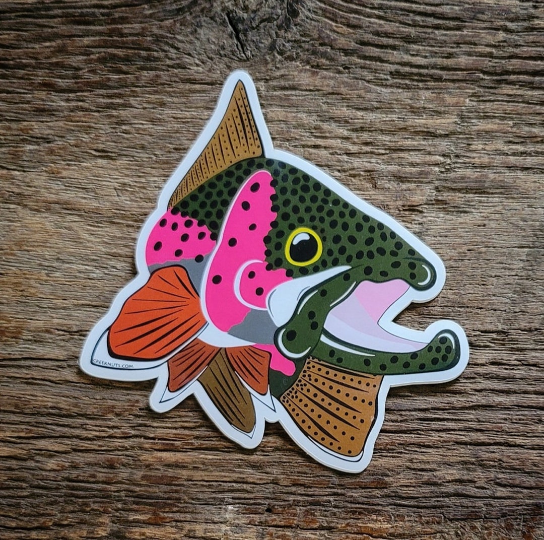 Rainbow Trout Kype Sticker Decal - Etsy