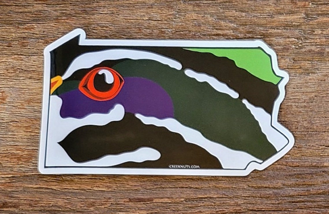 Pennsylvania Wood Duck Sticker Decal - Etsy