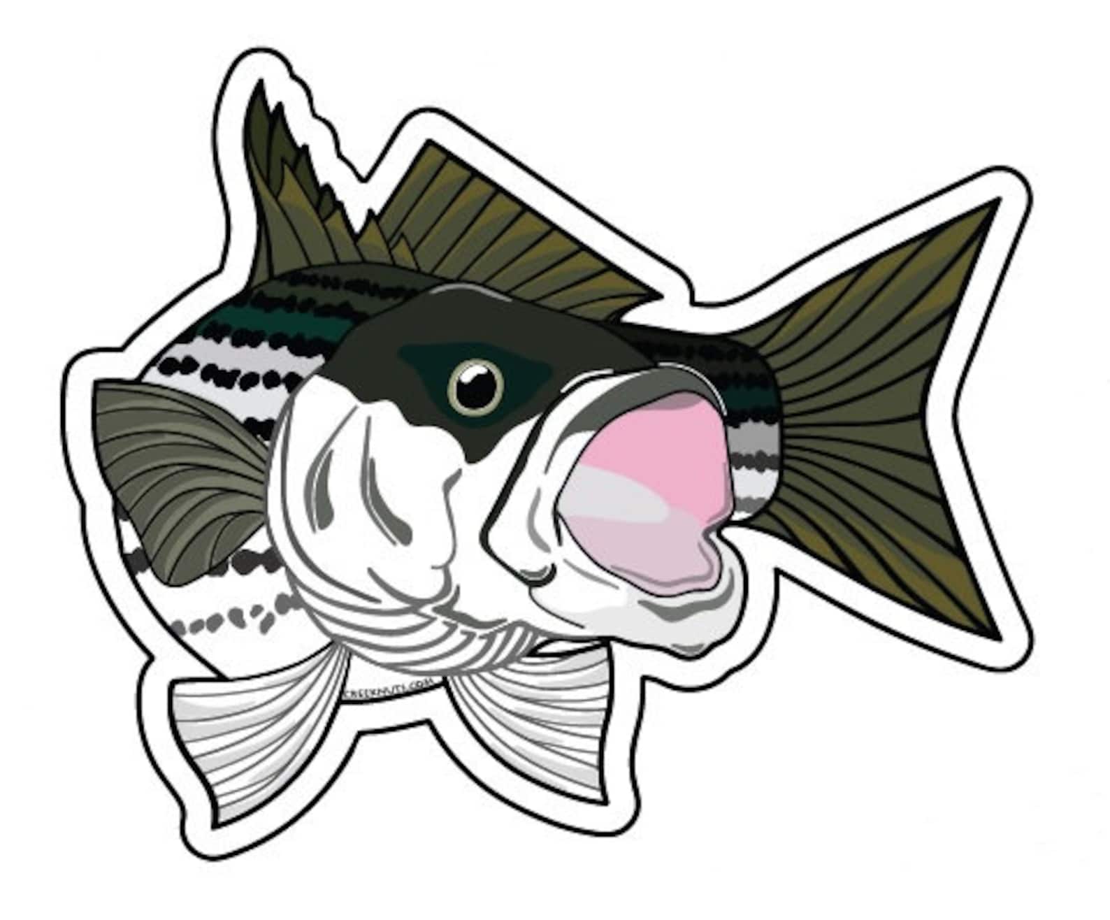 Striper Striped Bass Sticker Decal - Etsy