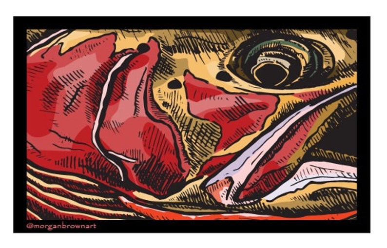 Cutthroat Trout Sticker Decal Designed by Morgan Brown - Etsy