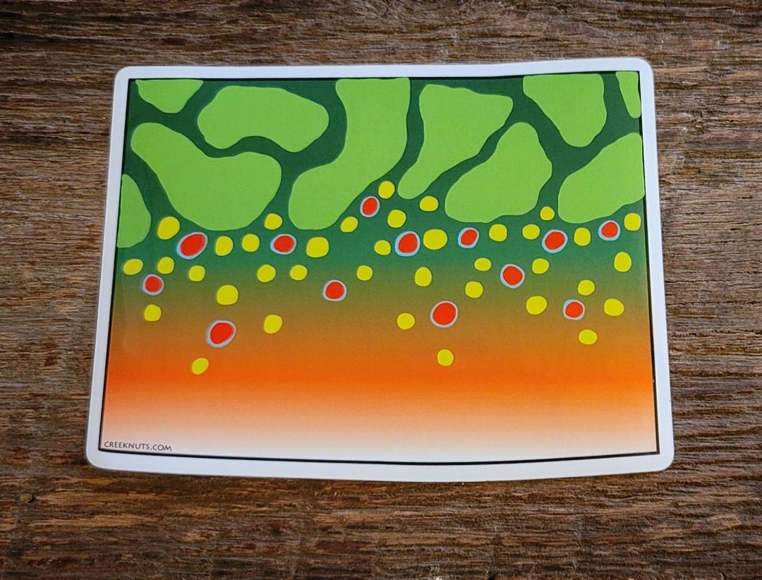 Colorado Brook Trout Sticker Decal - Etsy