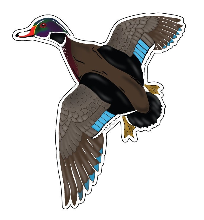 Flying Wood Duck Sticker Decal - Etsy
