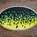 Crappie Skin Oval Sticker Decal - Etsy