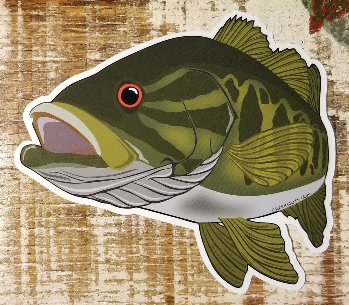Smallmouth Bass Sticker Decal | Etsy