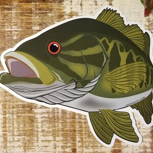 Smallmouth Bass Sticker Decal | Etsy