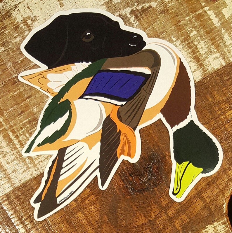 Black Labrador Retriever With Mallard Duck Sticker Decal | Etsy