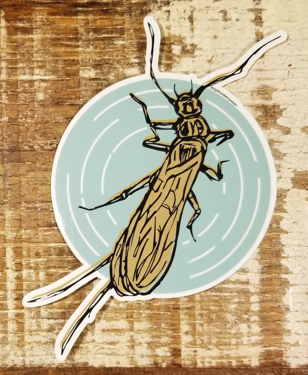 Stonefly Sticker Decal Designed by Morgan Brown - Etsy