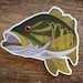 Massachusetts Smallmouth Bass Sticker Decal - Etsy