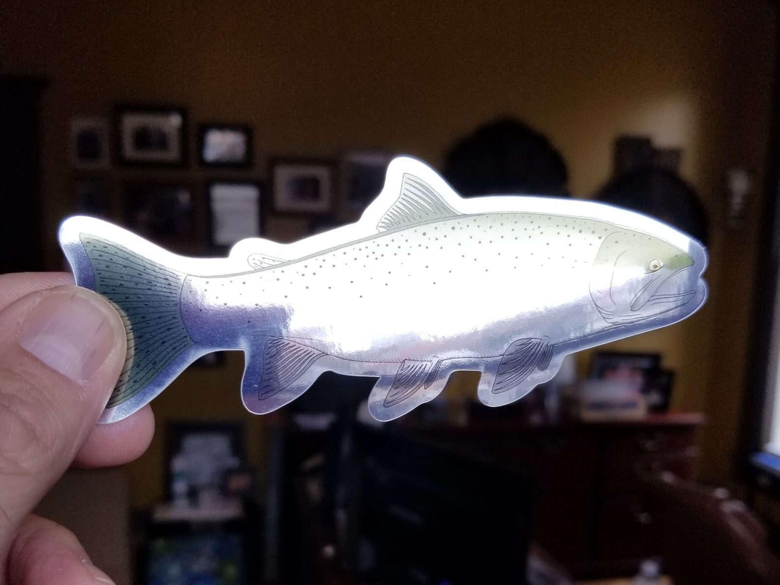 Steelhead Trout CHROME Mirror Sticker Decal Designed by Evan - Etsy 日本