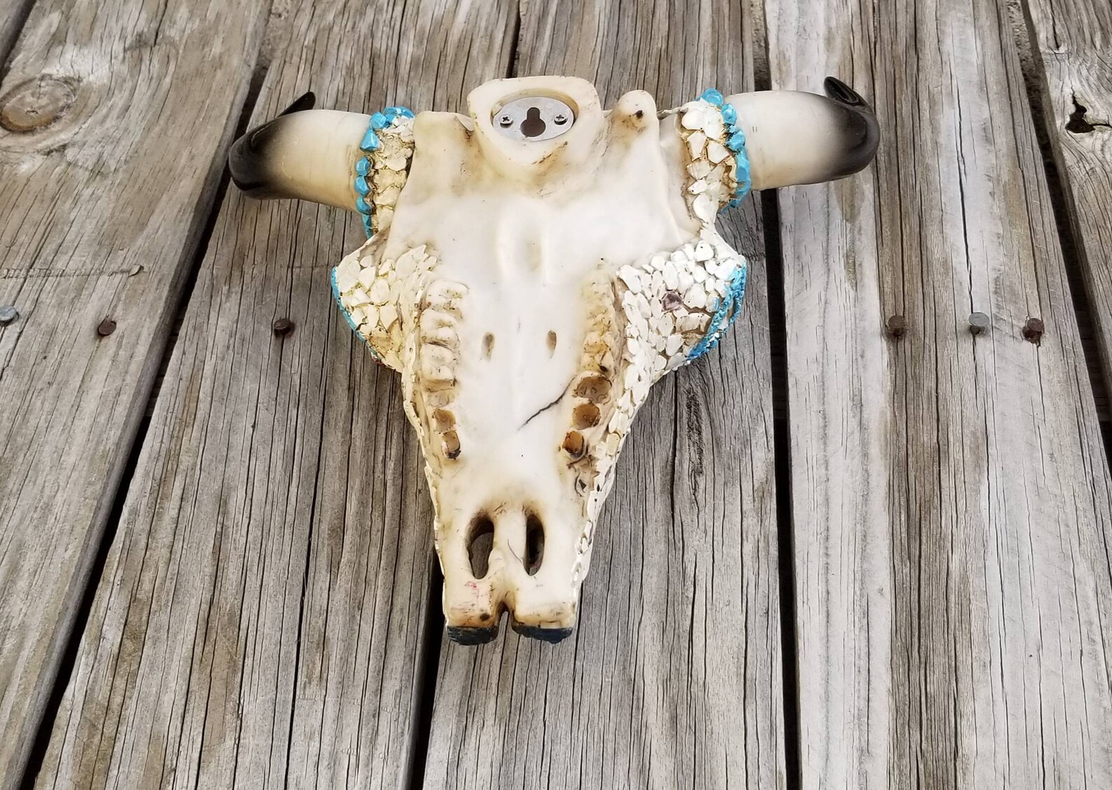 Skull Decorative Skull Taxidermy Skull Decor Boho Decor - Etsy