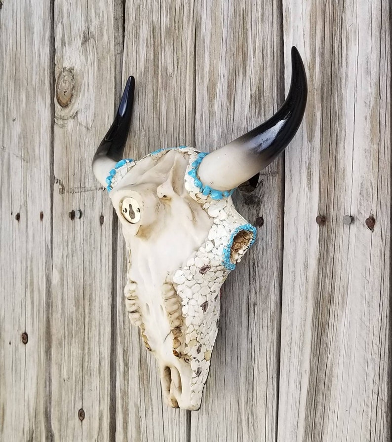 Skull Decorative Skull Taxidermy Skull Decor Boho Decor - Etsy