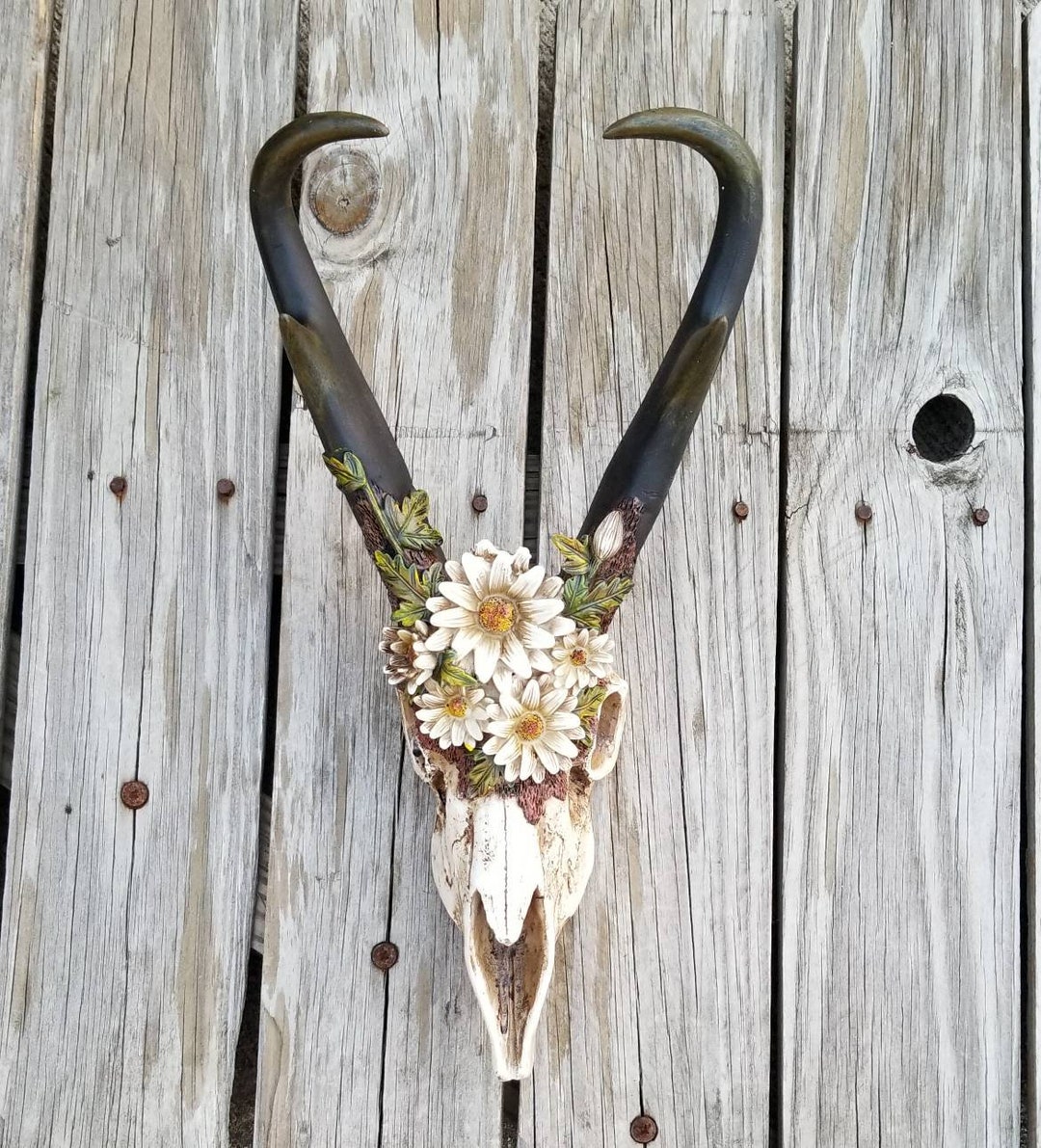 Skull, Decorative Skull, Taxidermy, Skull Decor, Boho Decor, Painted ...