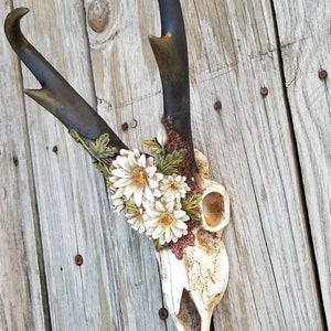 Skull, Decorative Skull, Taxidermy, Skull Decor, Boho Decor, Painted ...