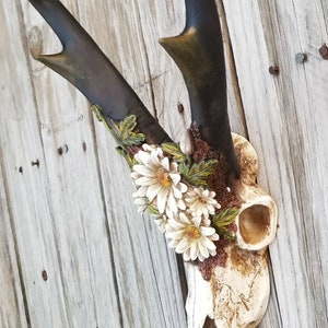 Skull, Decorative Skull, Taxidermy, Skull Decor, Boho Decor, Painted ...