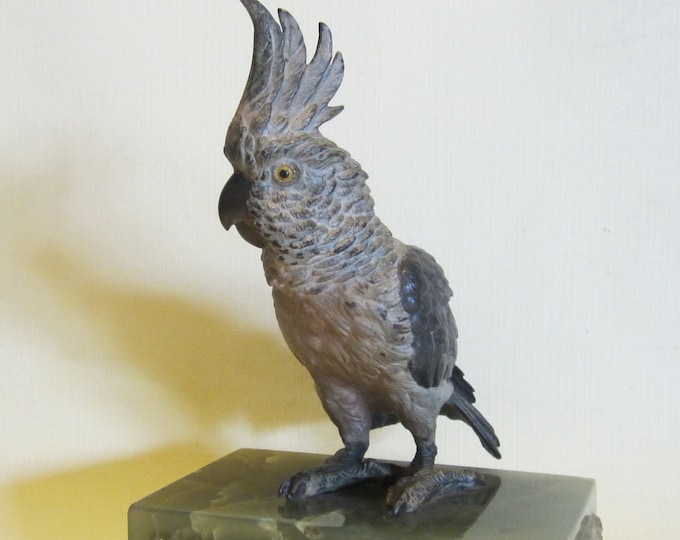 ANTIQUE Vienna Bronze Cockatoo, Old Wiener Bronze, Ca 1920. Height 7,5 ...