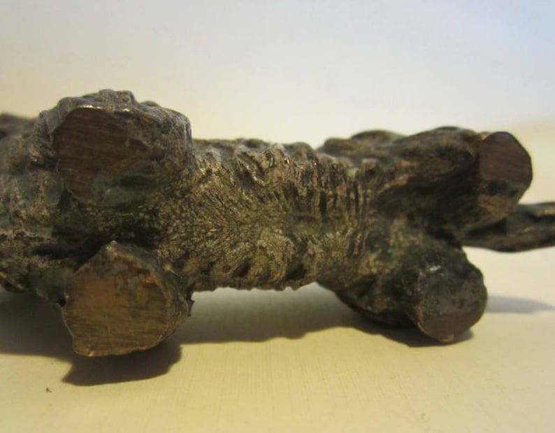 ANTIQUE Vienna Bronze Dog, Old Wiener Bronze, Ca 1920 - Etsy